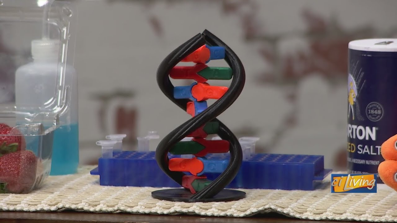 How to Extract DNA from a Strawberry | Simple Science Experiment - YouTube