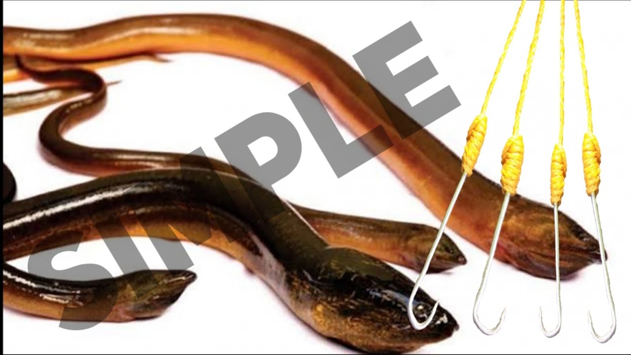 How to make an eel fishing hook (Pancing kuno) - YouTube
