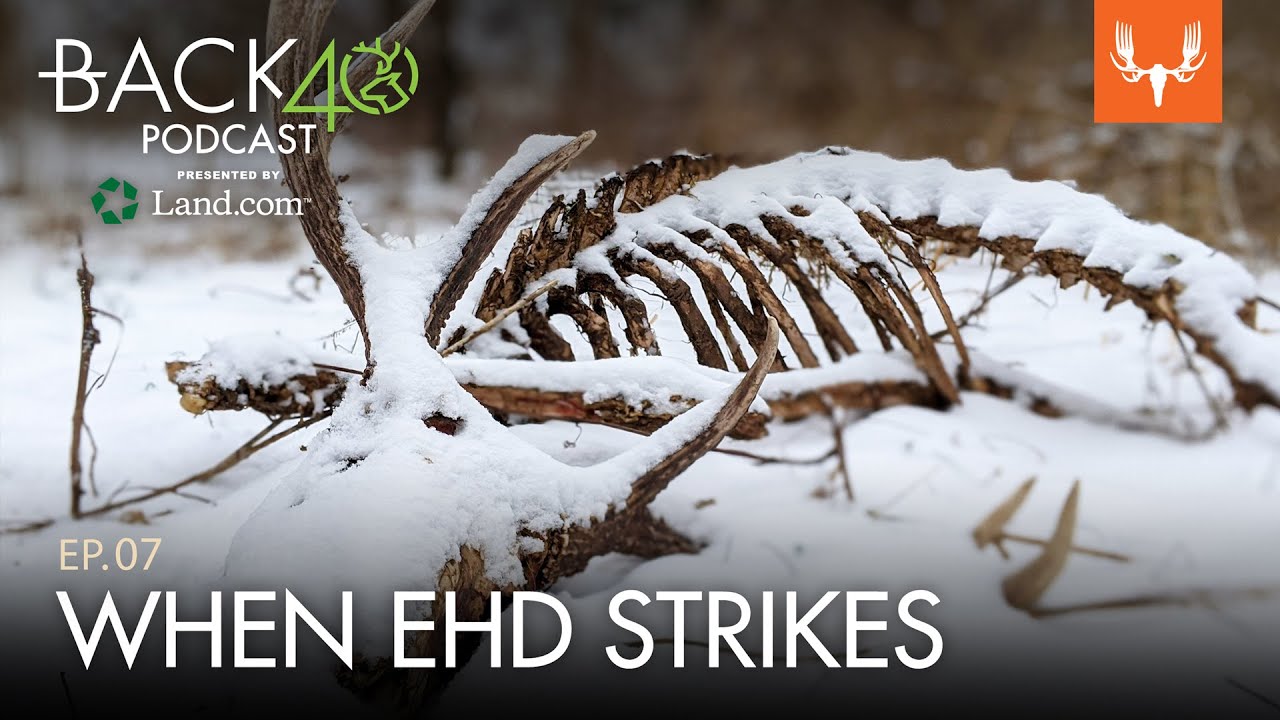 How to Adjust Your Hunting Game Plan When EHD Strikes | Back 40 Ep 7 ...