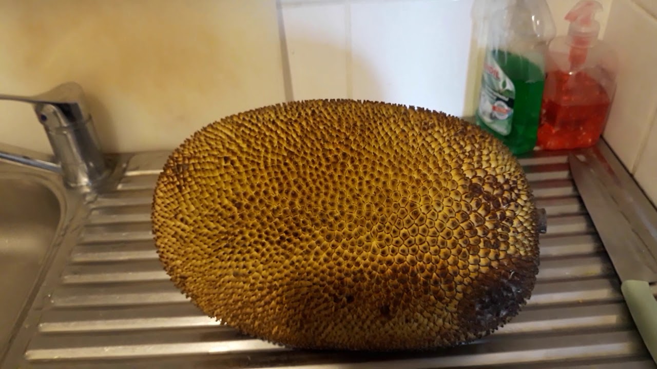 Bangladeshi katal 2019 - YouTube