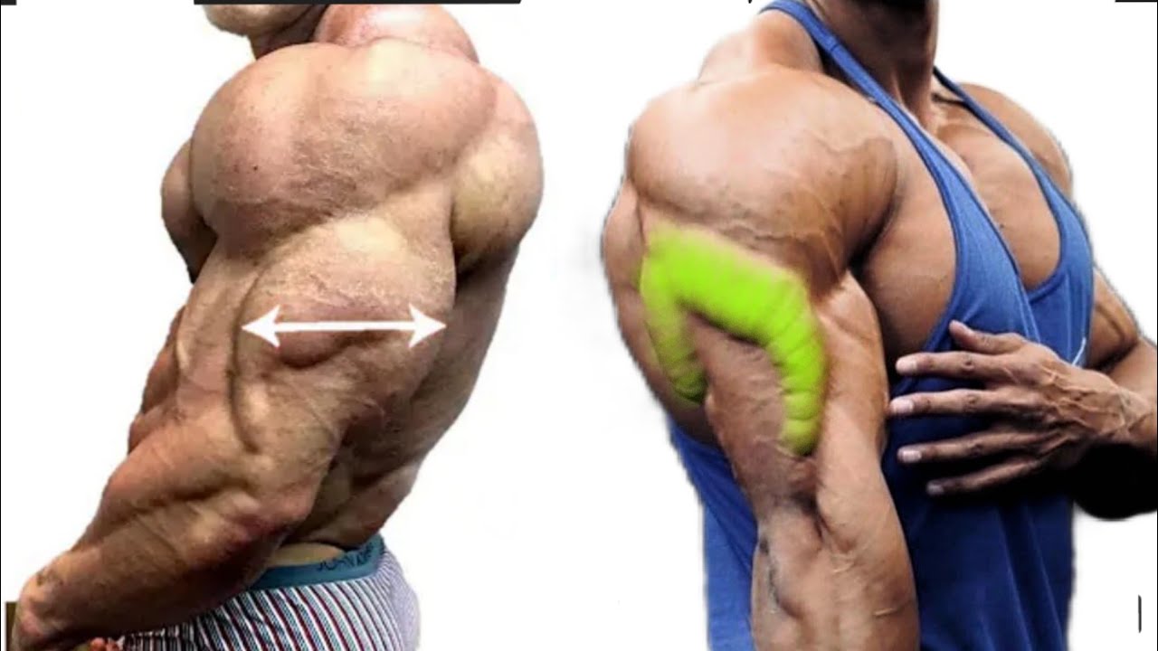8 Best Triceps Exercise For Bigger Arms/ Triceps Workout/ Only Workout ...