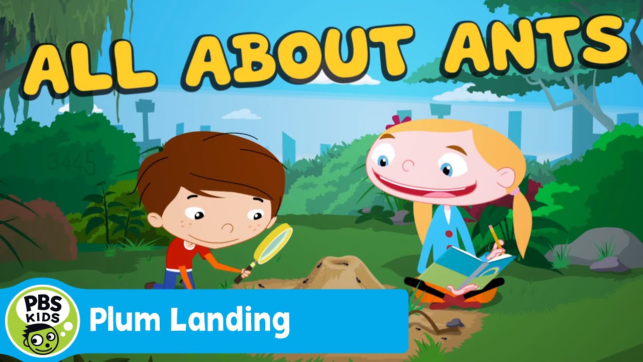 PLUM LANDING | All About Ants | PBS KIDS - YouTube