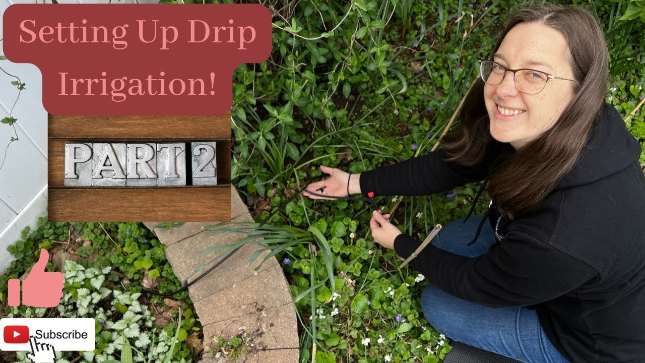 Setting Up Drip Irrigation Part 2!!! - YouTube