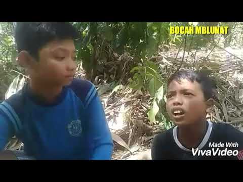 #bocahmblunat.     #KDO.    BOCAH ISINE MADANG TOK