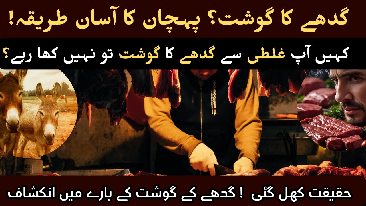 Are You Eating Donkey Meat By Mistake? | How to Check Donkey Meat ...