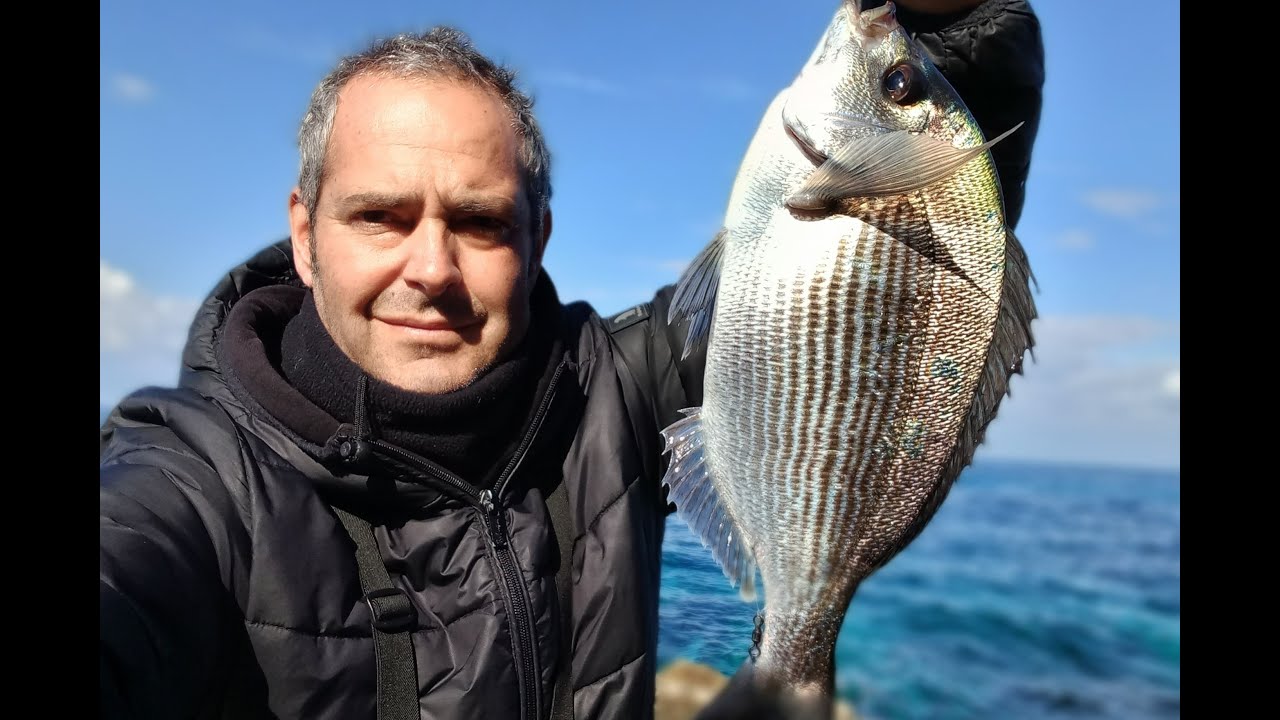 Rockfishing, bellissima tanuta, cantaro, pesca con calamaretto come ...