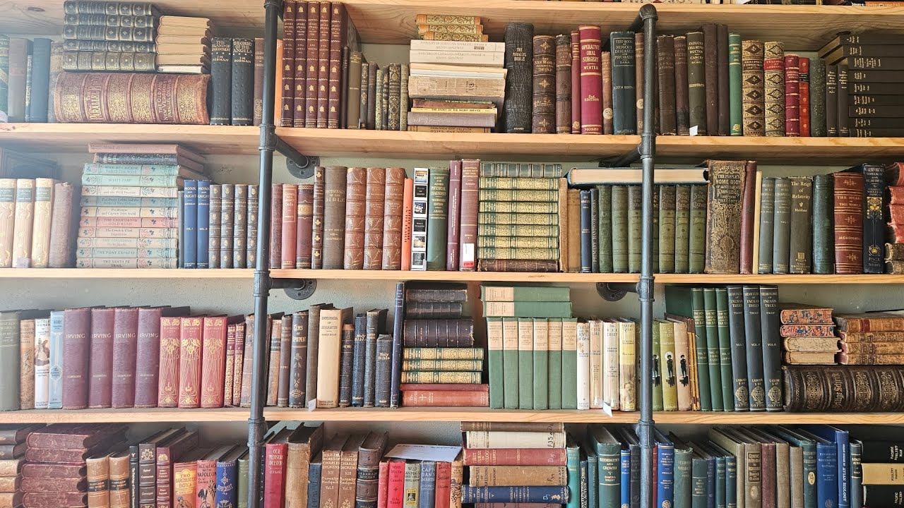 Huge Book Sale Right Now!! Over 400 Books to Choose From. - YouTube