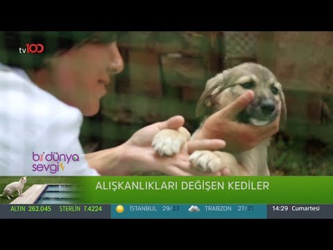 Bi Dünya Sevgi - 4. Bölüm - 22 Haziran 2019