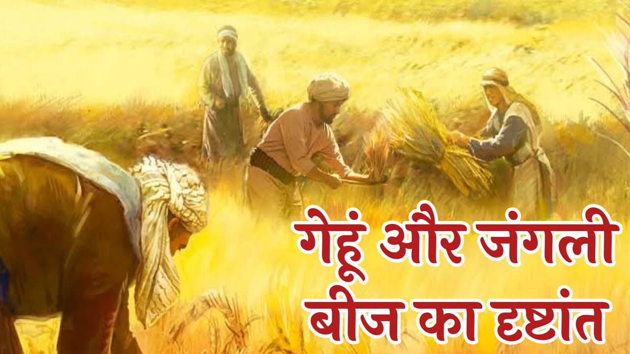 Parable Of The Wheat And Tares parable-of-the-wheat-and-tares
