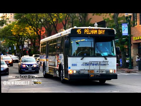 Bee-Line System: Bus Action @ North Av & Main St, New Rochelle, NY (HD ...