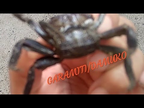 Garamiti / Damuko - YouTube