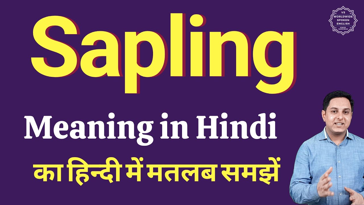 Sapling meaning in Hindi | Sapling ka matlab kya hota hai - YouTube