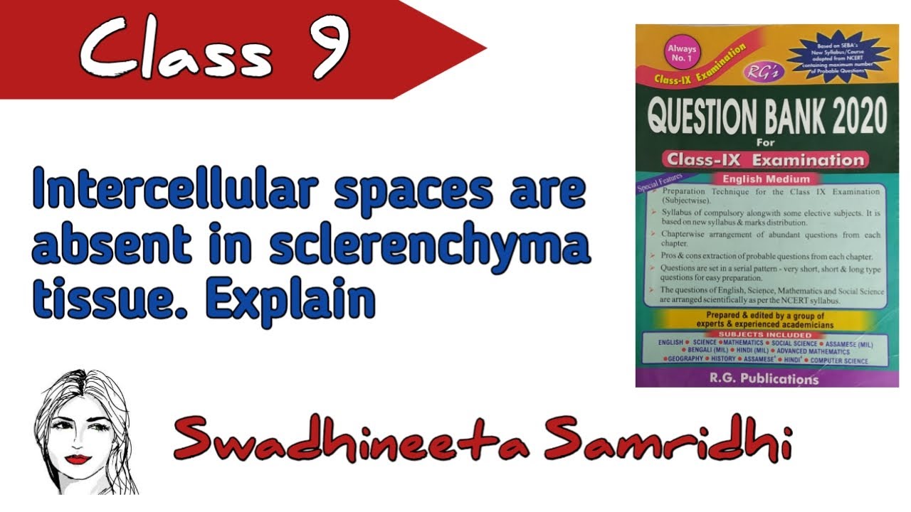 Intercellular spaces are absent in sclerenchyma tissue | Class 9 ...