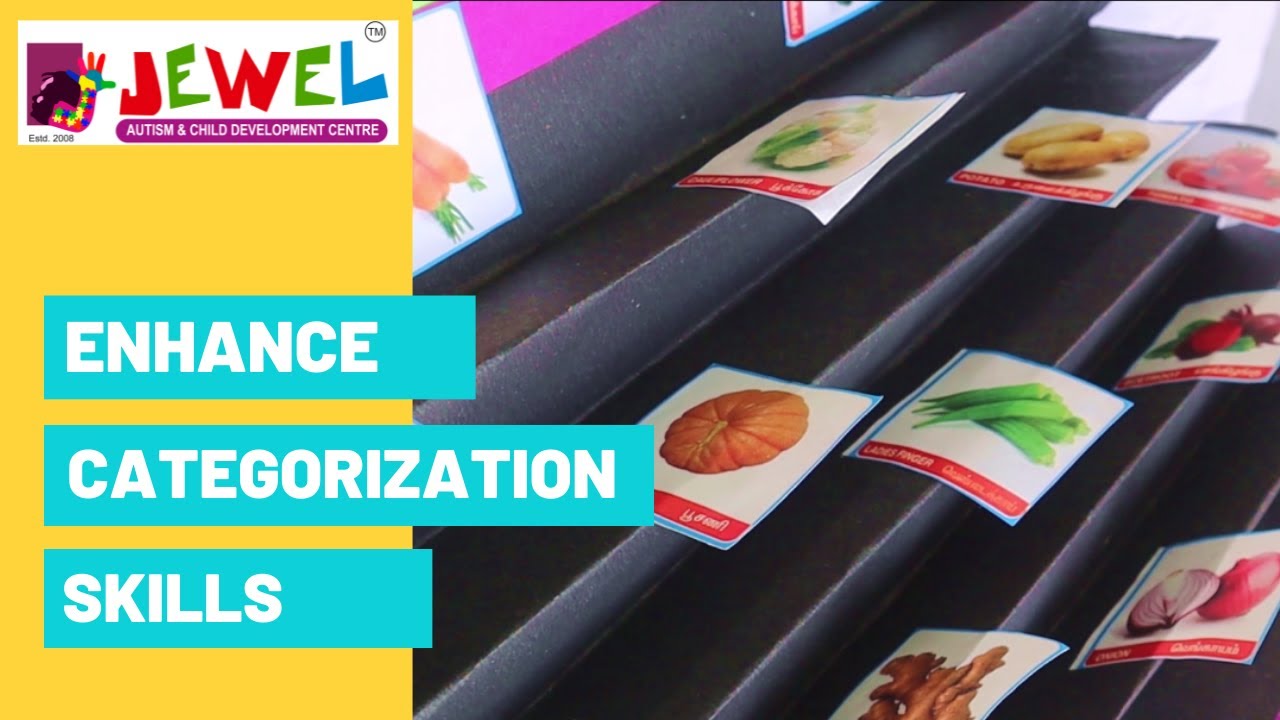 Activity to improve categorization skills | Enhancing child development ...