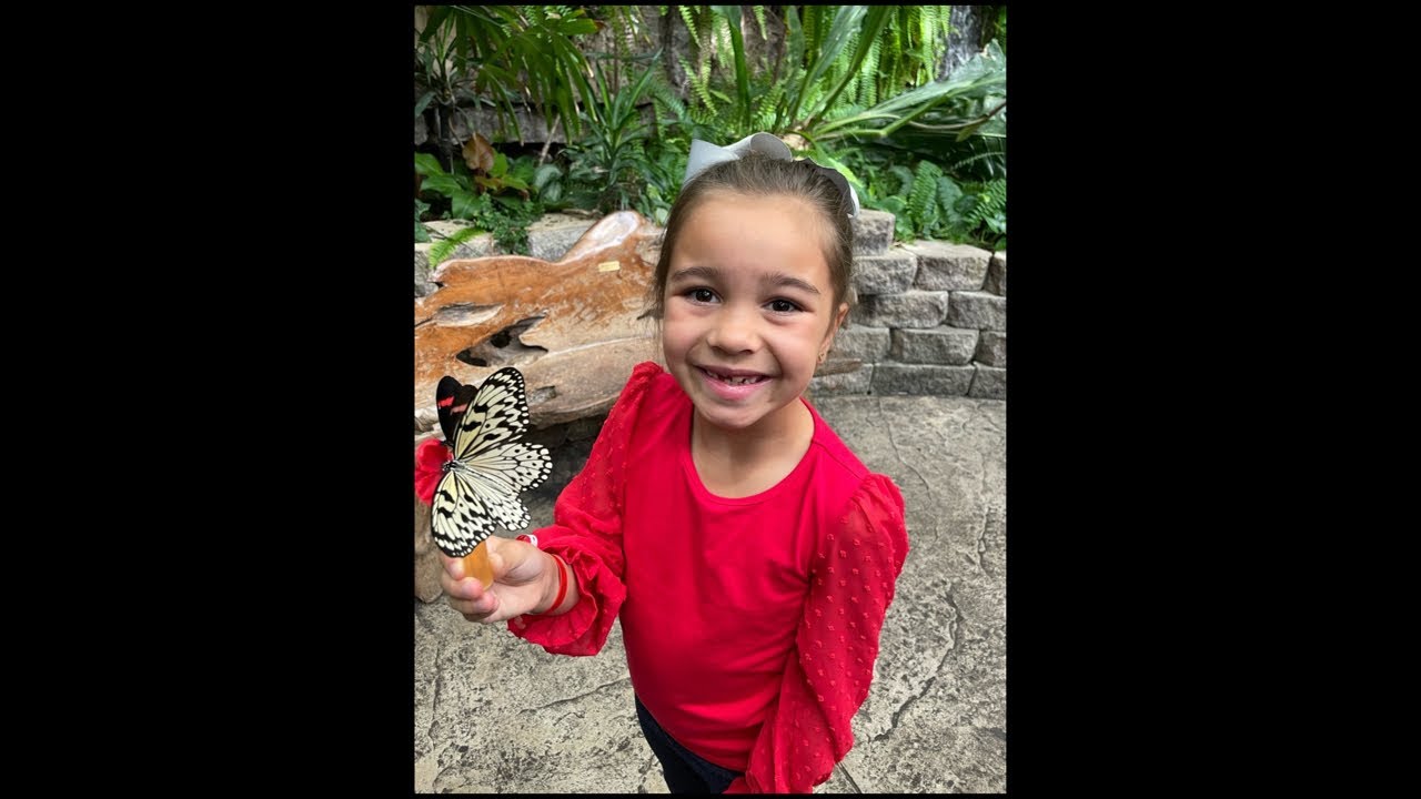 Lilly Bond - How Far I'll Go - YouTube