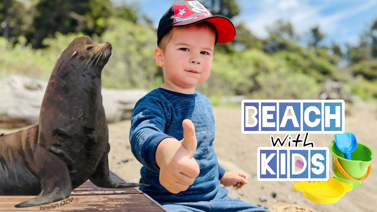Three babies at the beach (kid video for kids, beach trip with kids ...