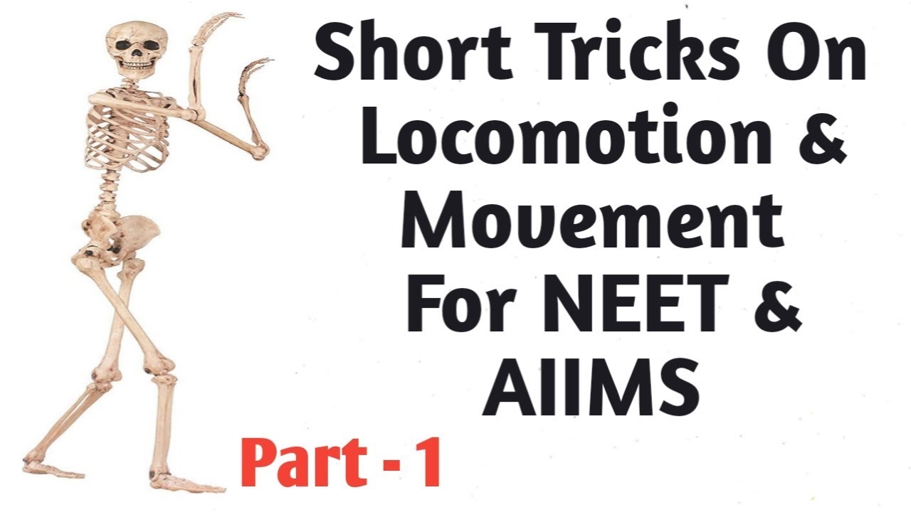 Biology Class 11 | Locomotion and Movement Biology Class 11 NEET AIIMS ...