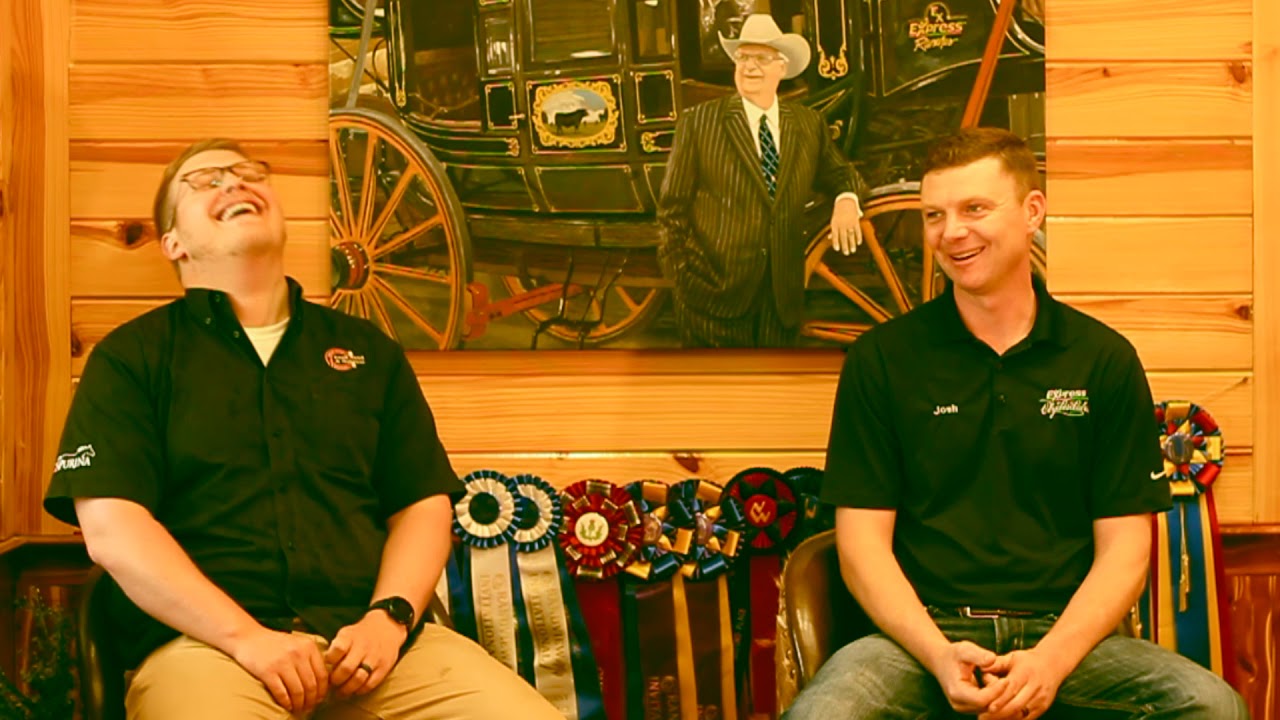 How to operate one of the most popular Clydesdale farms in America ...