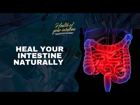 Heal your intestine naturally _intestine needs these foods to cure your ...