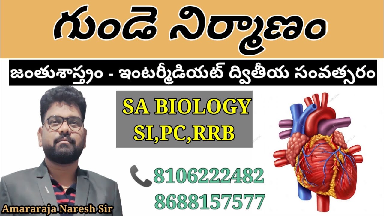 Human heart||మానవ గుండె నిర్మాణం||NARESH BIOSCIENCE - YouTube