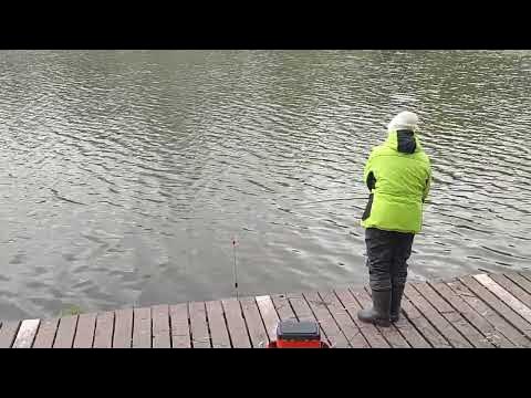 Хорошая Форель на пасту - YouTube