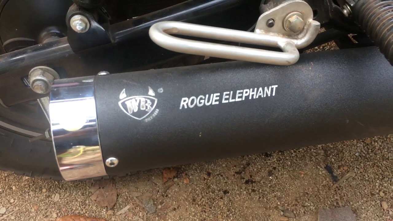 Wild boar rogue elephant exhaust for bajaj avenger 220 - YouTube