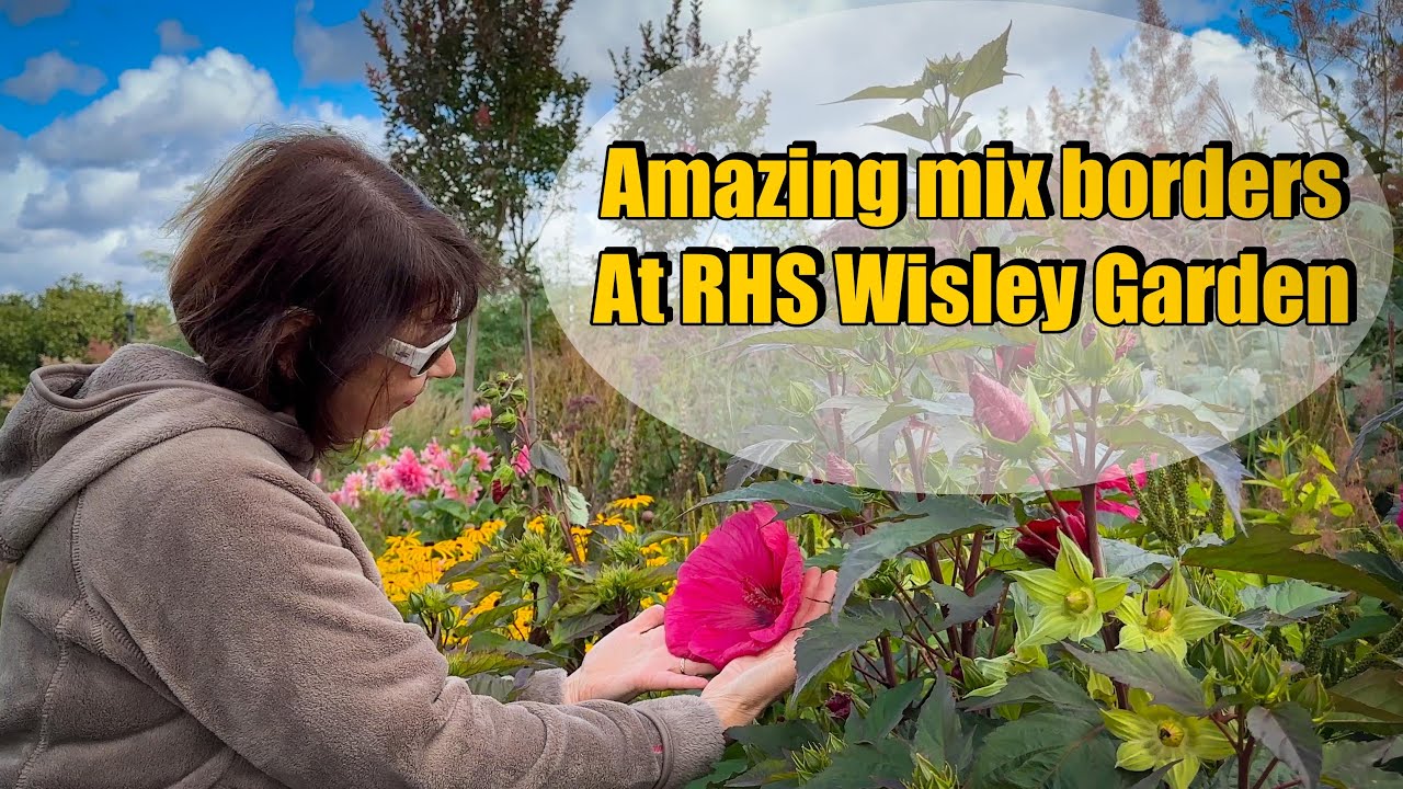 Vlog 187 - Strolling Through Wisley: Main Mix Borders & Scenic Trail ...