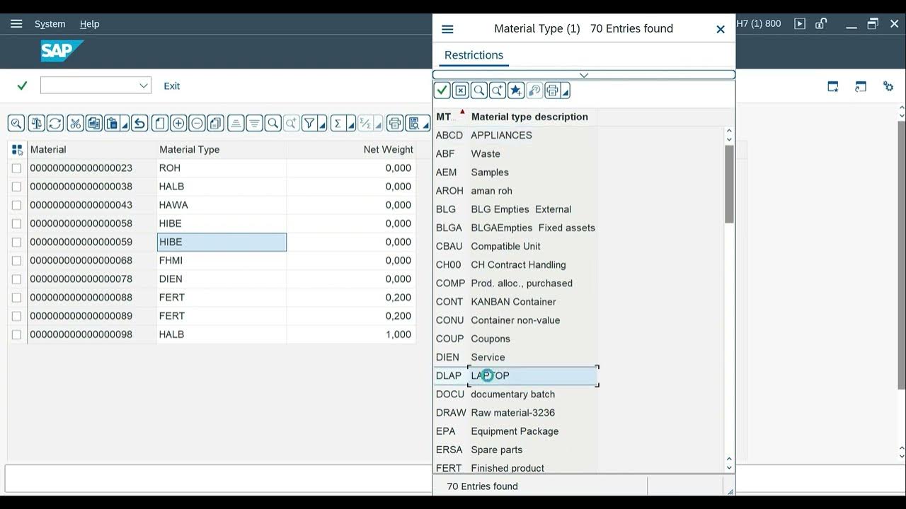 Video 6: ABAP for ALL OOPS ALV F4 help & Listbox - YouTube