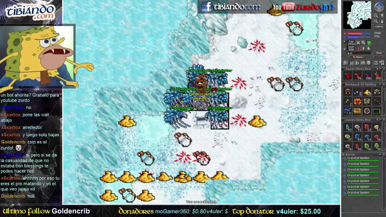 Tibia: ¿BOT? #9 ED 123 Szyszek Krol - Crystal Spider - YouTube