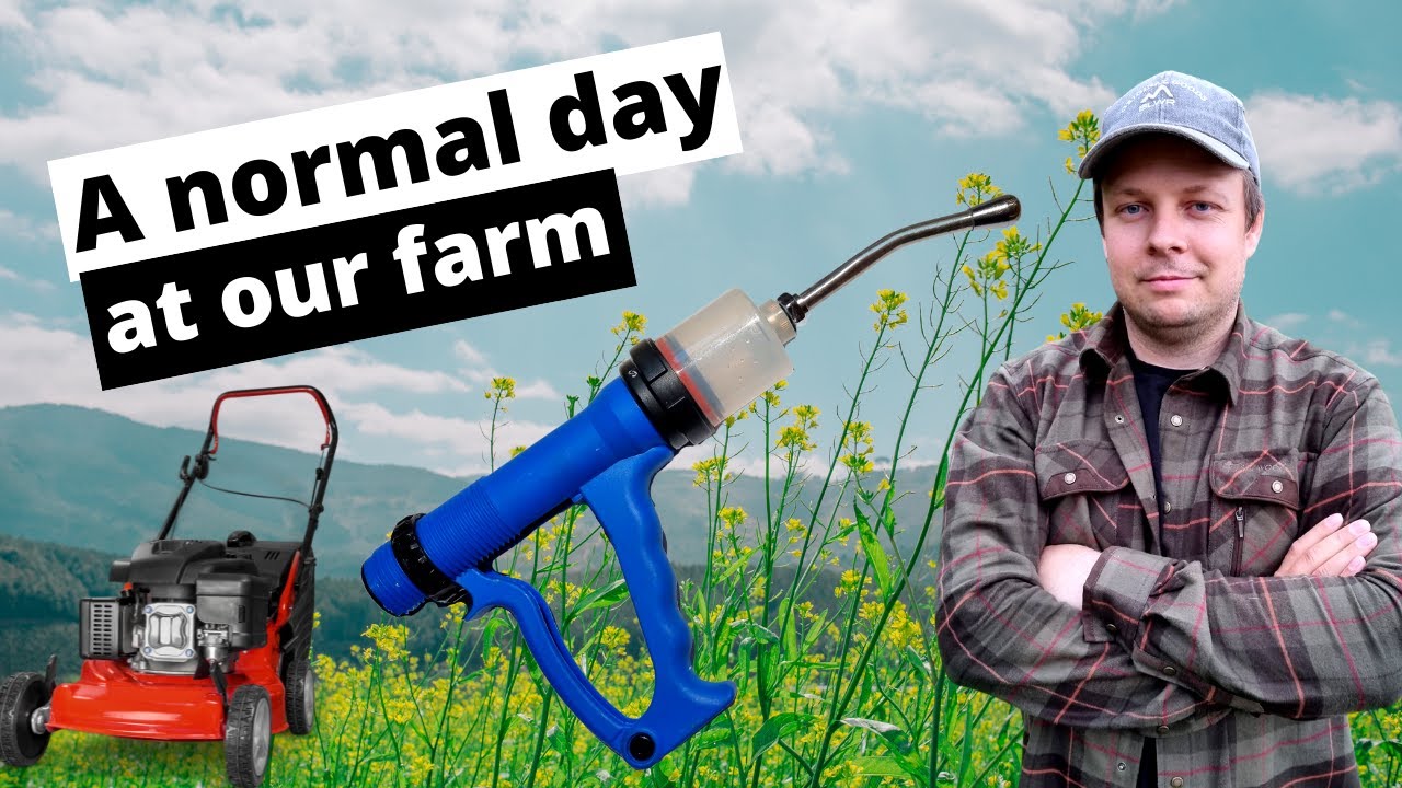 A normal day at our farm - YouTube