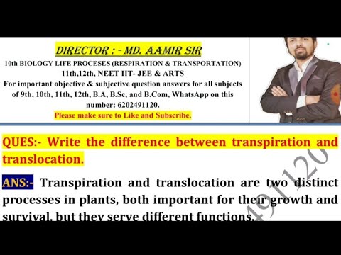 Write the difference between transpiration and translocation. - YouTube