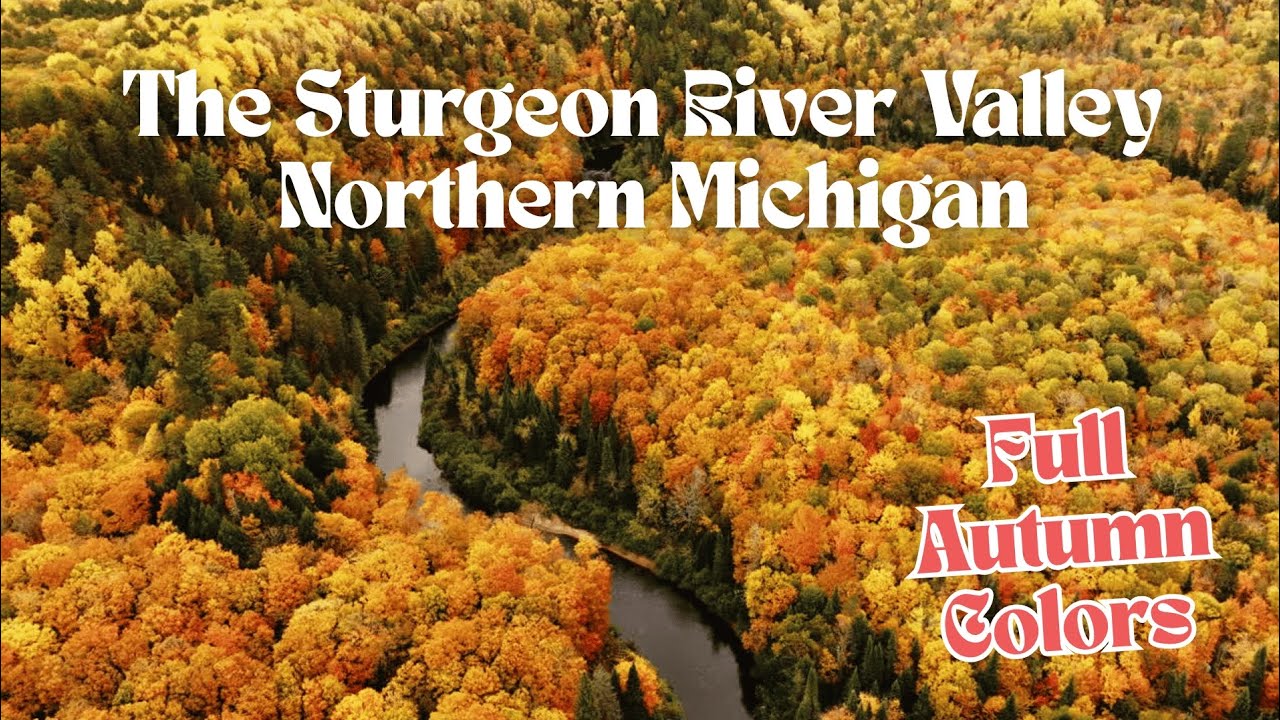 Stunning Aerial Views of Sturgeon River Valley | Northern Michigan in ...