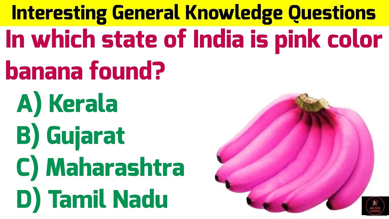 Top 25 GK Question and Answer | Important GK Question | Gk Questions ...