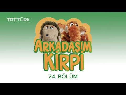 Müze Kuralları | Arkadaşım Kirpi - 24. Bölüm