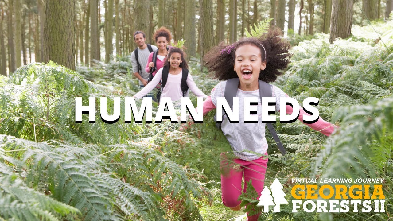 Why Humans Need Forests | Georgia Forests II - YouTube