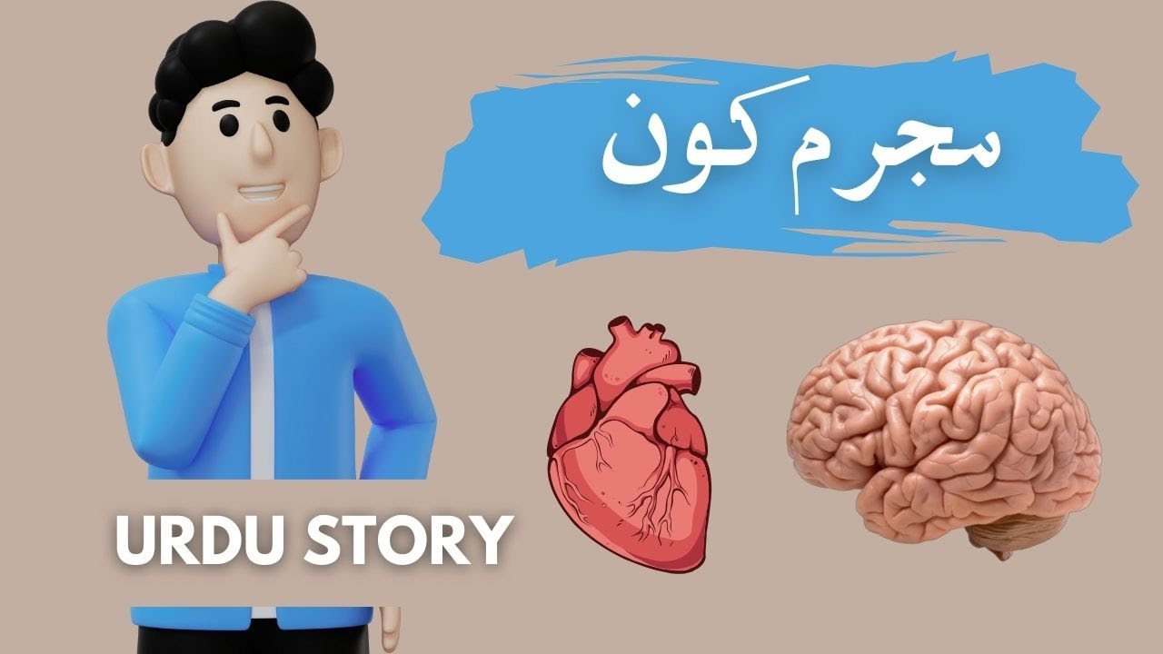 Who Is The Culprit? | Best Stories 2024 - YouTube