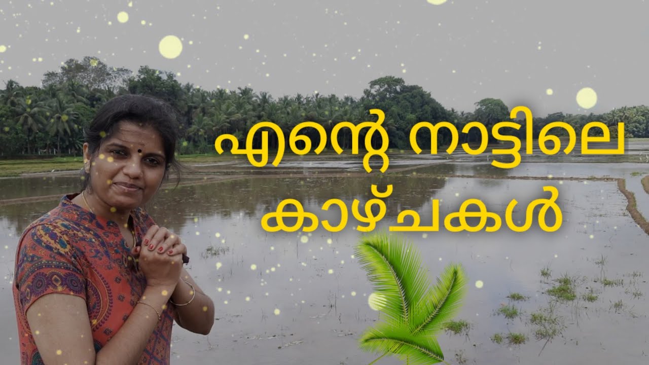 കേരളത്തിലെ ഈ കാഴ്ചകൾ നമുക്ക് മറക്കാൻ പറ്റുമോ #pattambi #pattithara # ...