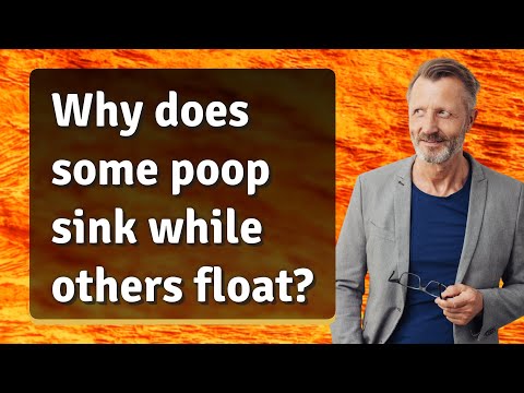 Why does some poop sink while others float? - YouTube