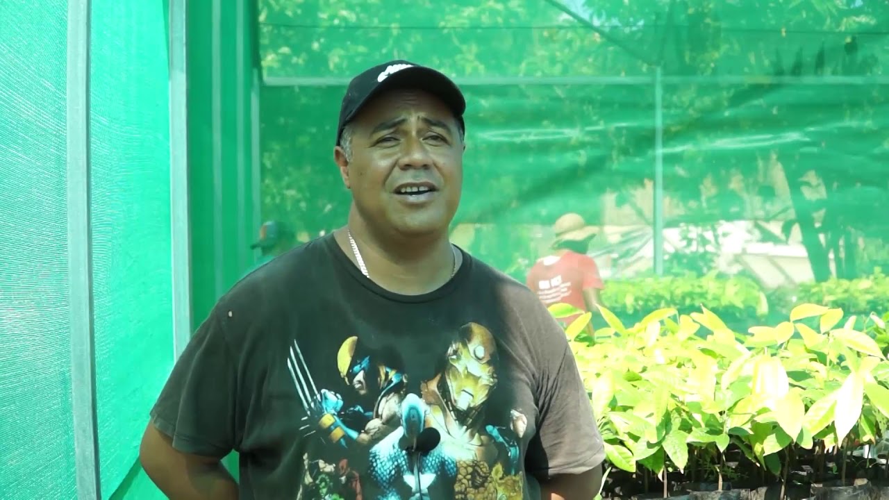 Cocoa Documentary Samoa Meteorology/SPREP/CSIRO - YouTube