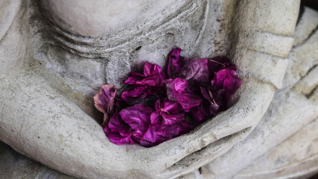 Daimoku Chant | Nam Myoho Renge Kyo | With Ethereal Celtic Voices - YouTube