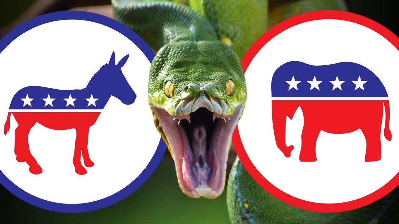 Contemporary Politics and the Spirit of Python - YouTube