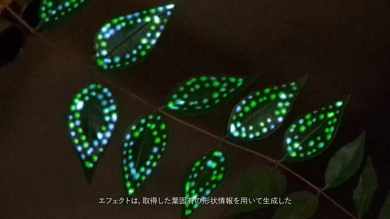 483 341 Projection Mapping for Leaves - YouTube
