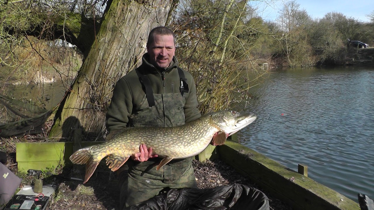 Catching a 31.8lb Pike UK 2018 - YouTube
