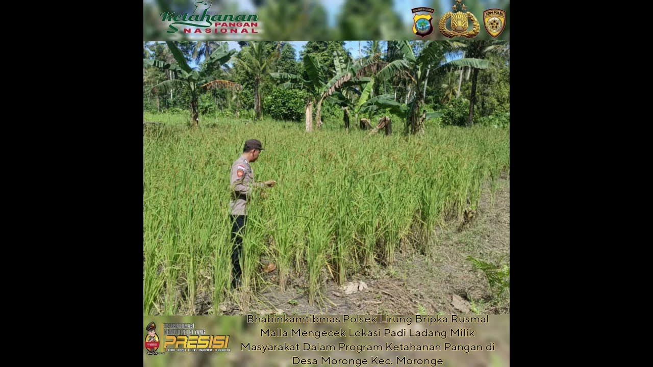 #astacita #swasembadapangan #polisicintapetani #poldasulut #polreskepulauantalaud - YouTube