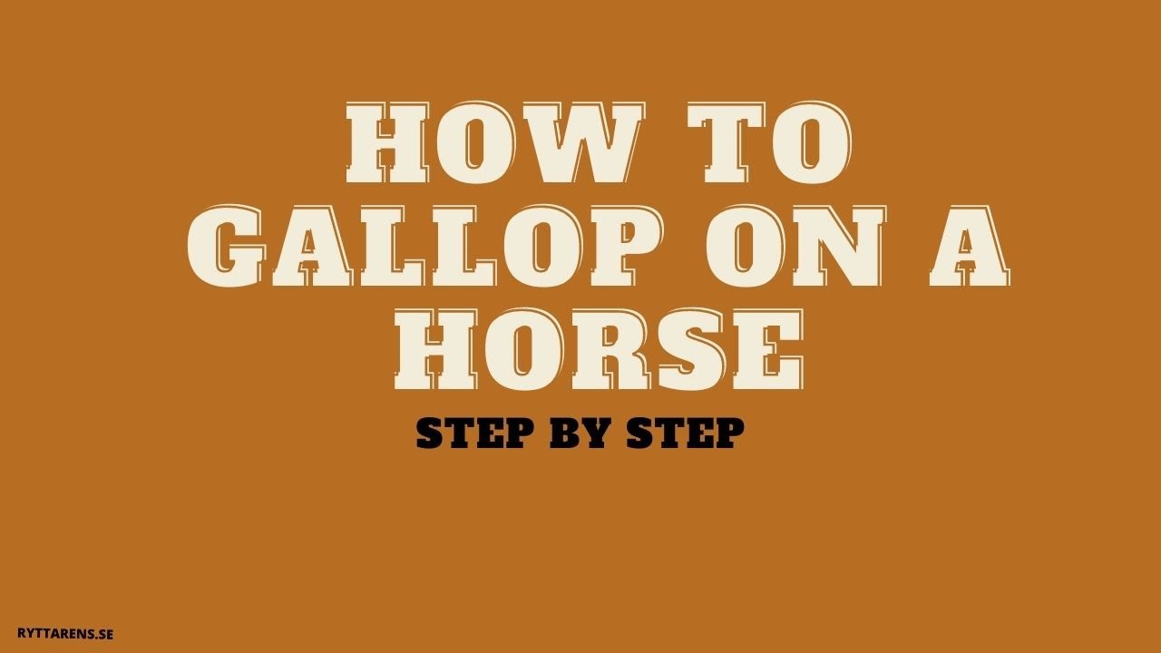 How to Gallop on a Horse - YouTube