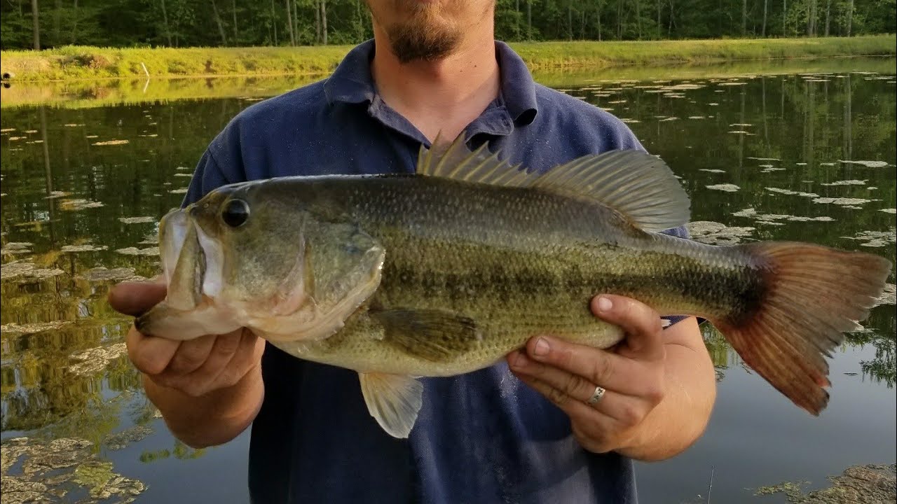 He Hooked Big 6lbs Bass In Spawn Session!!!🔥 - YouTube