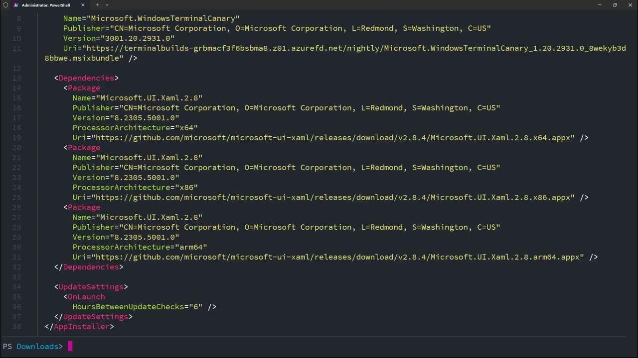 Installing Windows Terminal Canary Build - YouTube