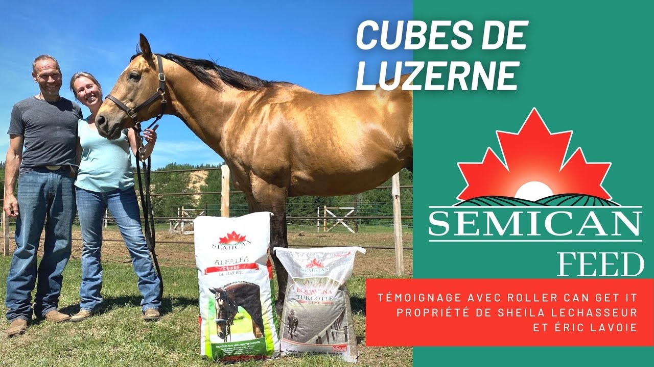 Les cubes de luzerne, un produit très apprécié! - YouTube