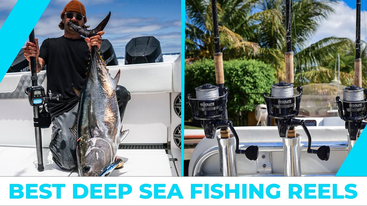 Best Deep Sea Fishing Reels - Increase Your Fishing Quality! - YouTube