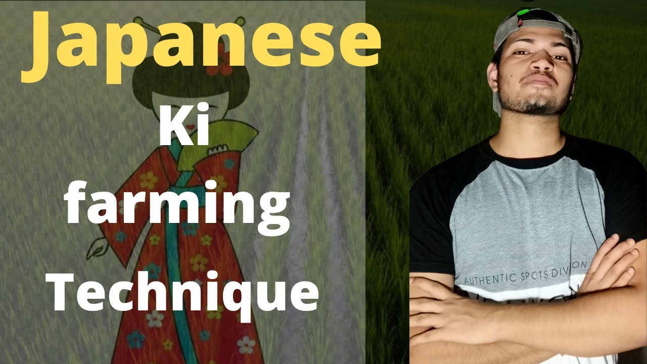 Japanese Method Of Rice Cultivation ll Japan ki Farming Technique ...